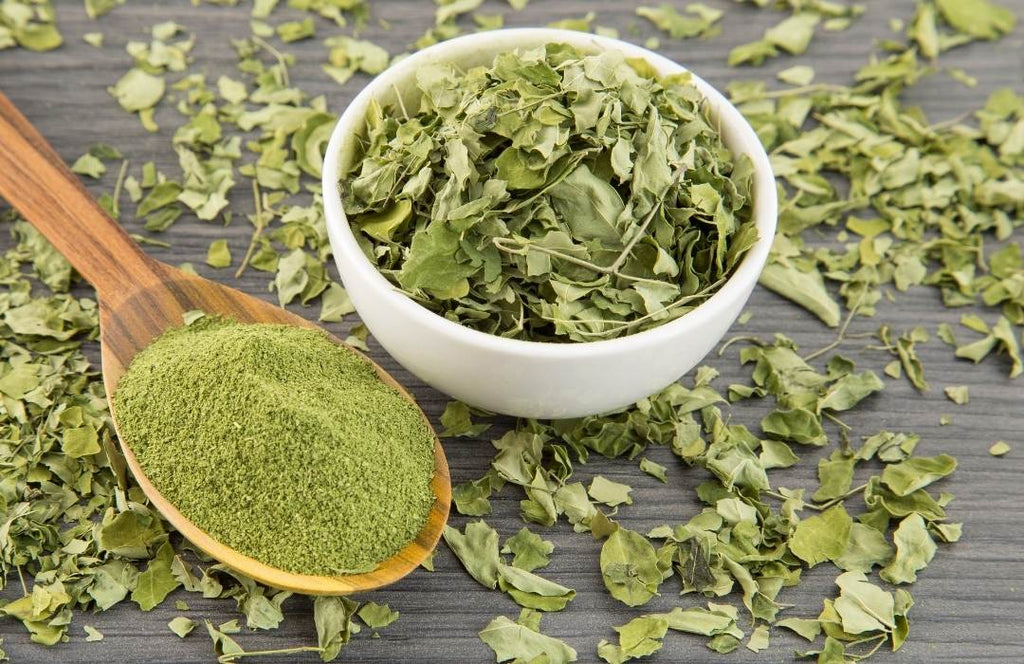 Infusión de hojas de moringa: Beneficios, preparación y propiedades ...